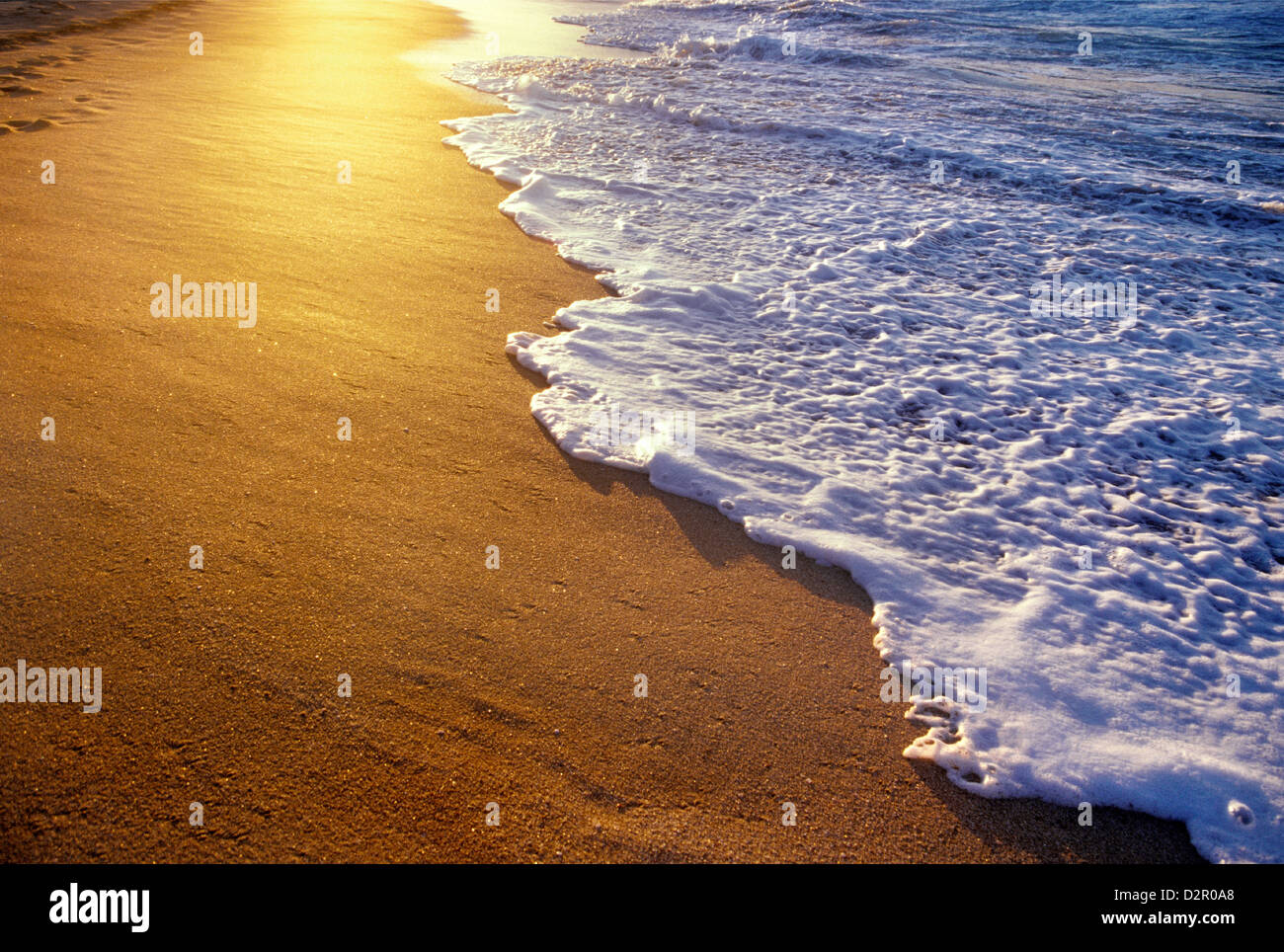 Yellow Golden Colour Beaches High Resolution Stock Photography and ...