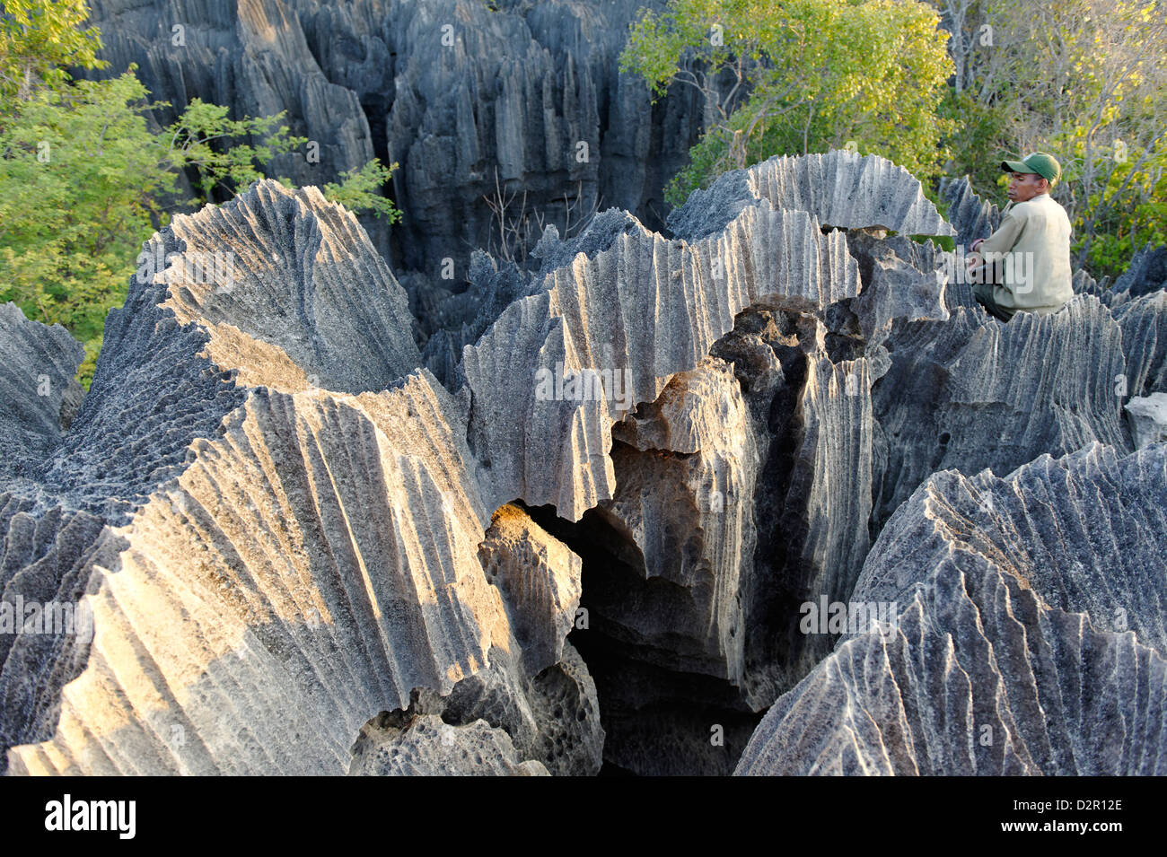 Tsingy De Bemaraha Strict Nature Reserve