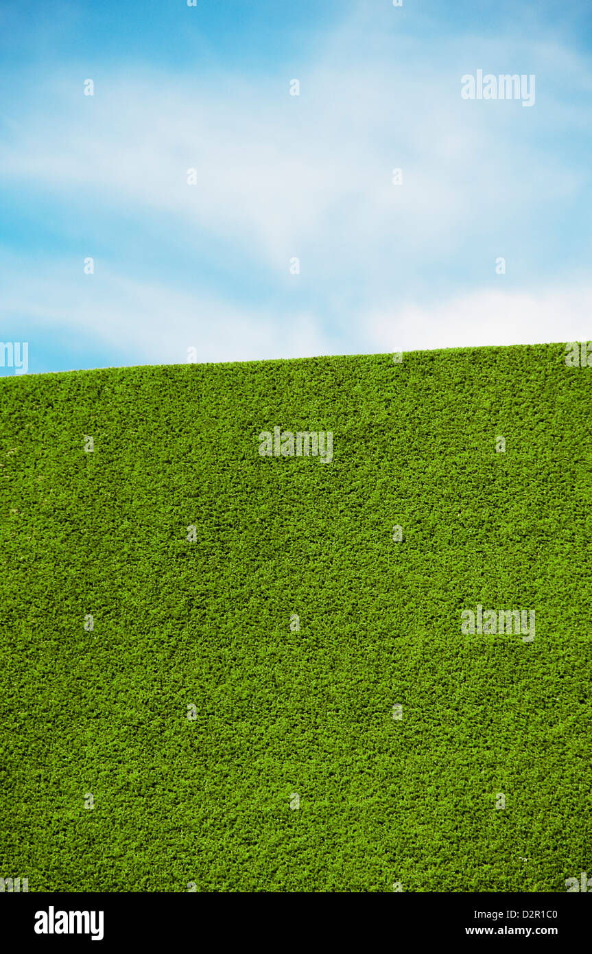 Miniature hill in a miniature city, Madurodam, Scheveningen, The Hague ...