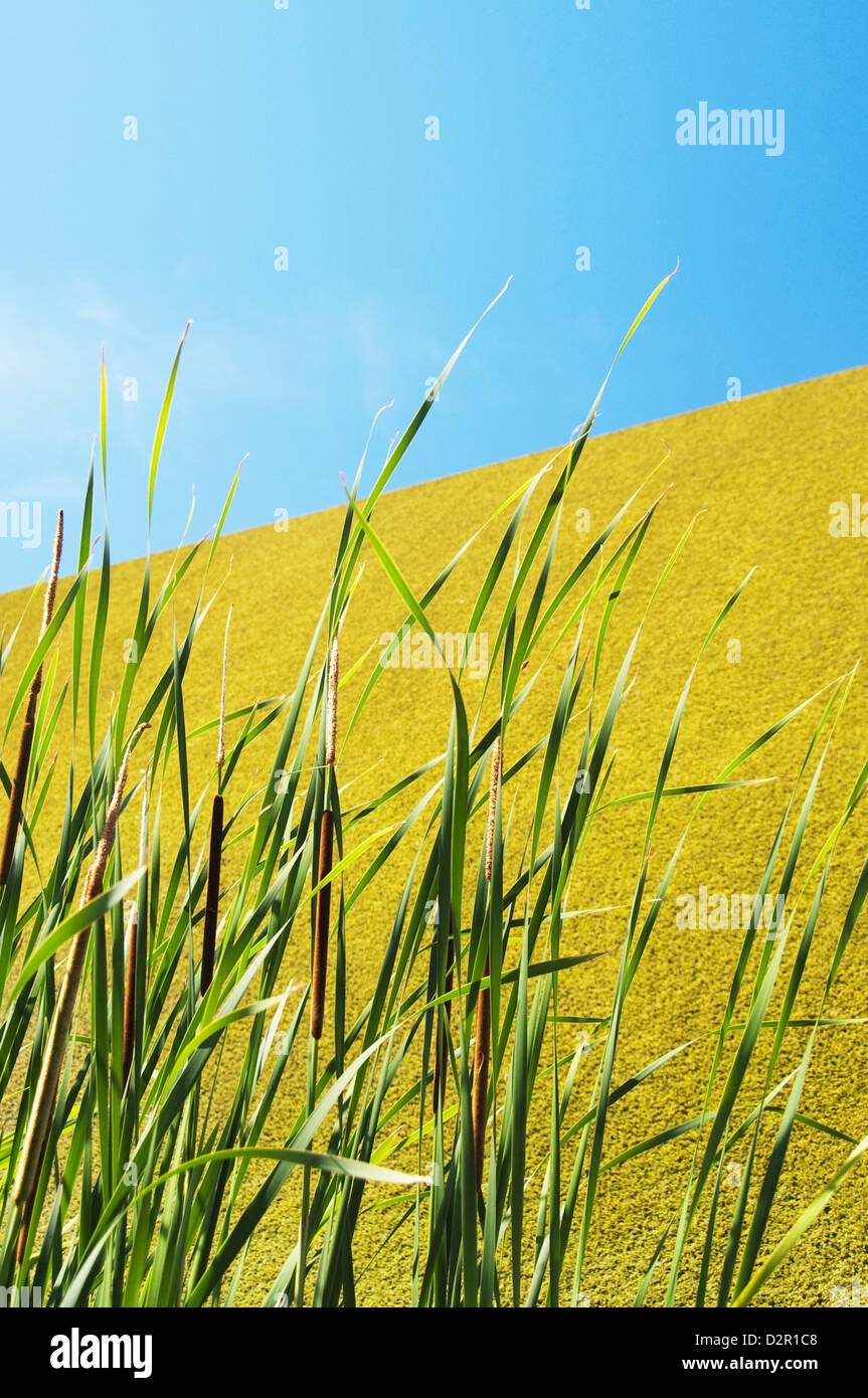 Miniature hill in a miniature city, Madurodam, Scheveningen, The Hague ...