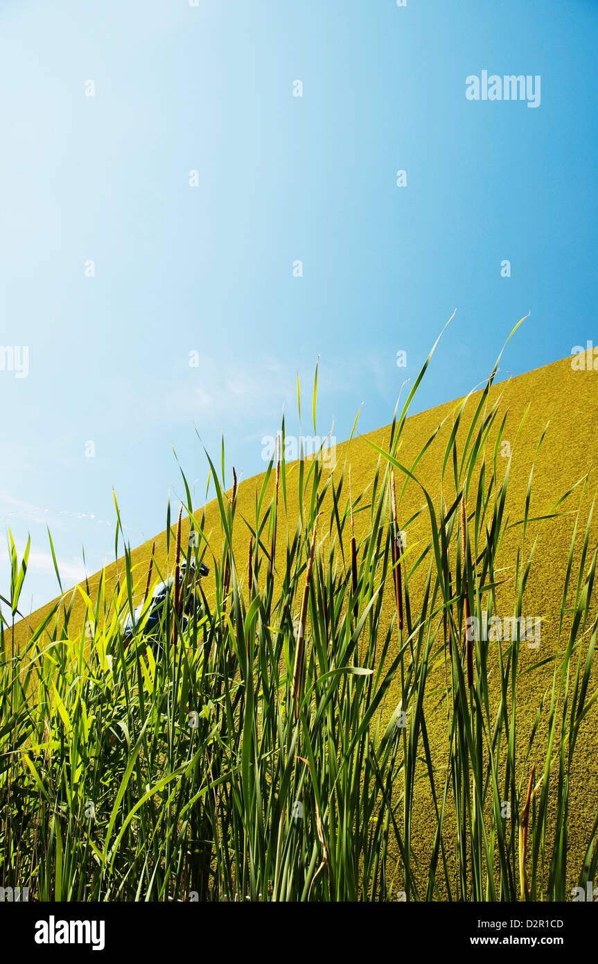 Miniature hill in a miniature city, Madurodam, Scheveningen, The Hague ...