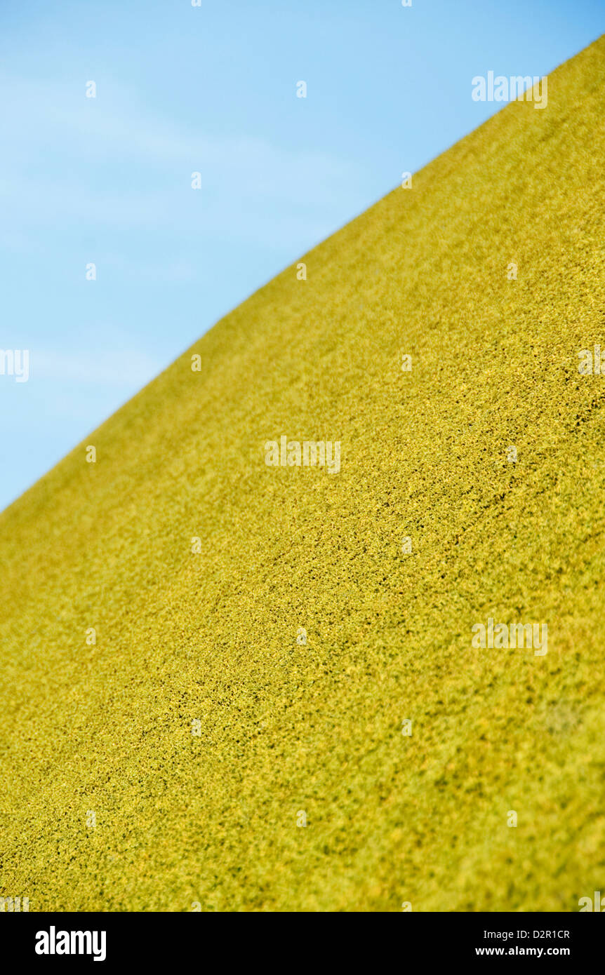 Miniature hill in a miniature city, Madurodam, Scheveningen, The Hague ...