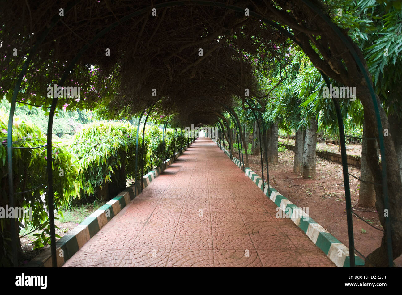 Footpath of a botanical garden, Lal Bagh Botanical Garden, Bangalore ...