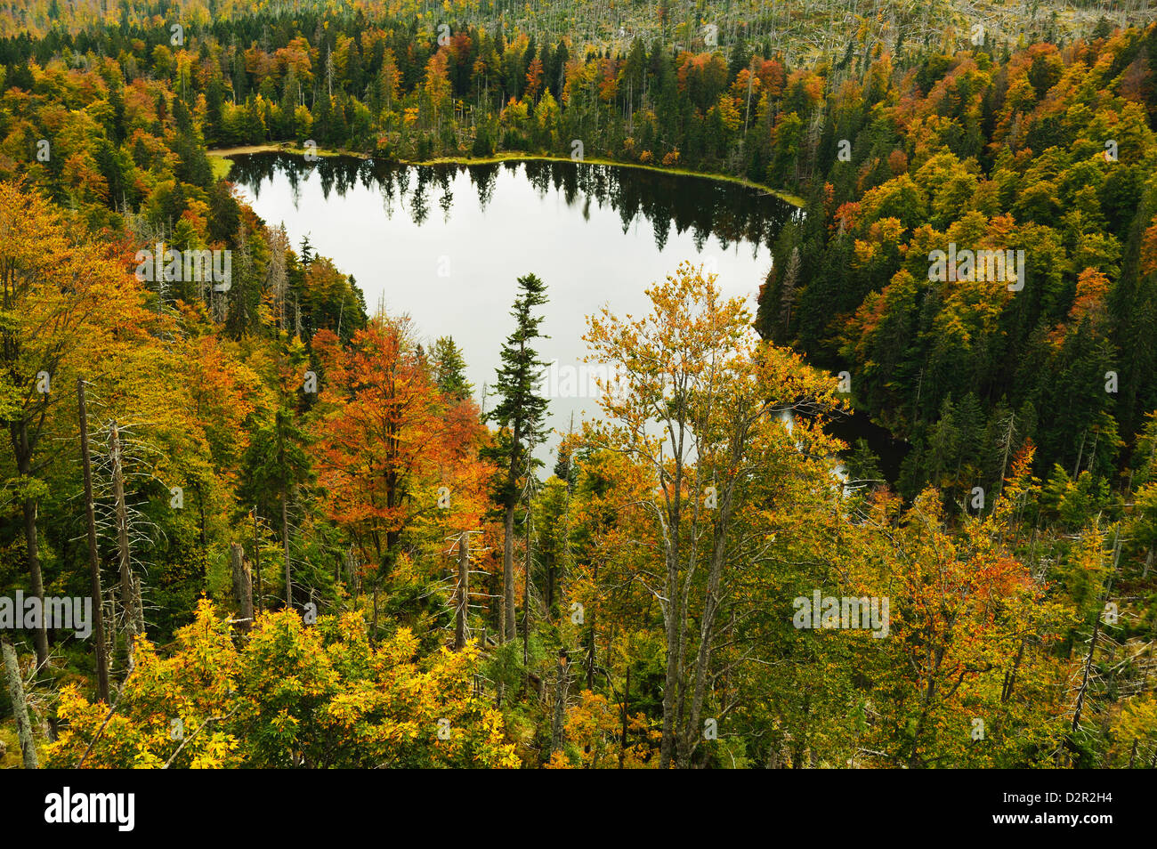 Rachelsee (Rachel Lake), Grosser Rachel, Bavarian Forest National Park ...