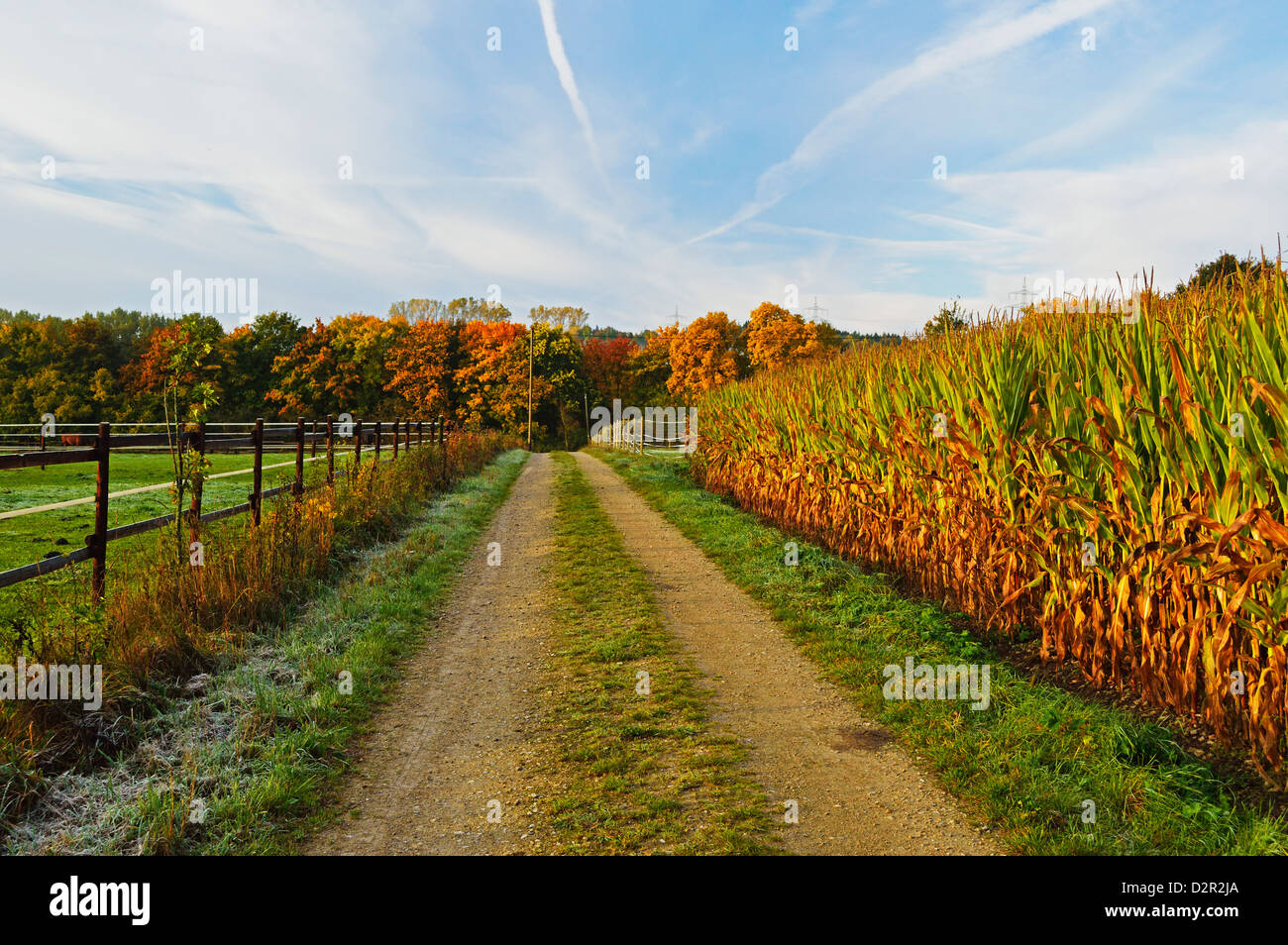 Rural autumn colour hi-res stock photography and images - Alamy