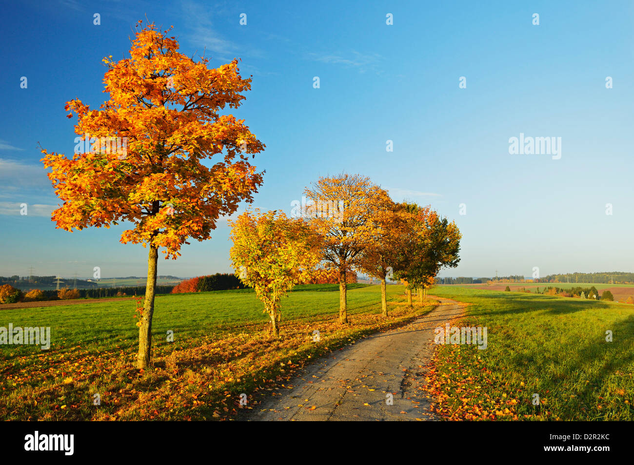Rural autumn scene, near Villingen-Schwenningen, Black Forest ...