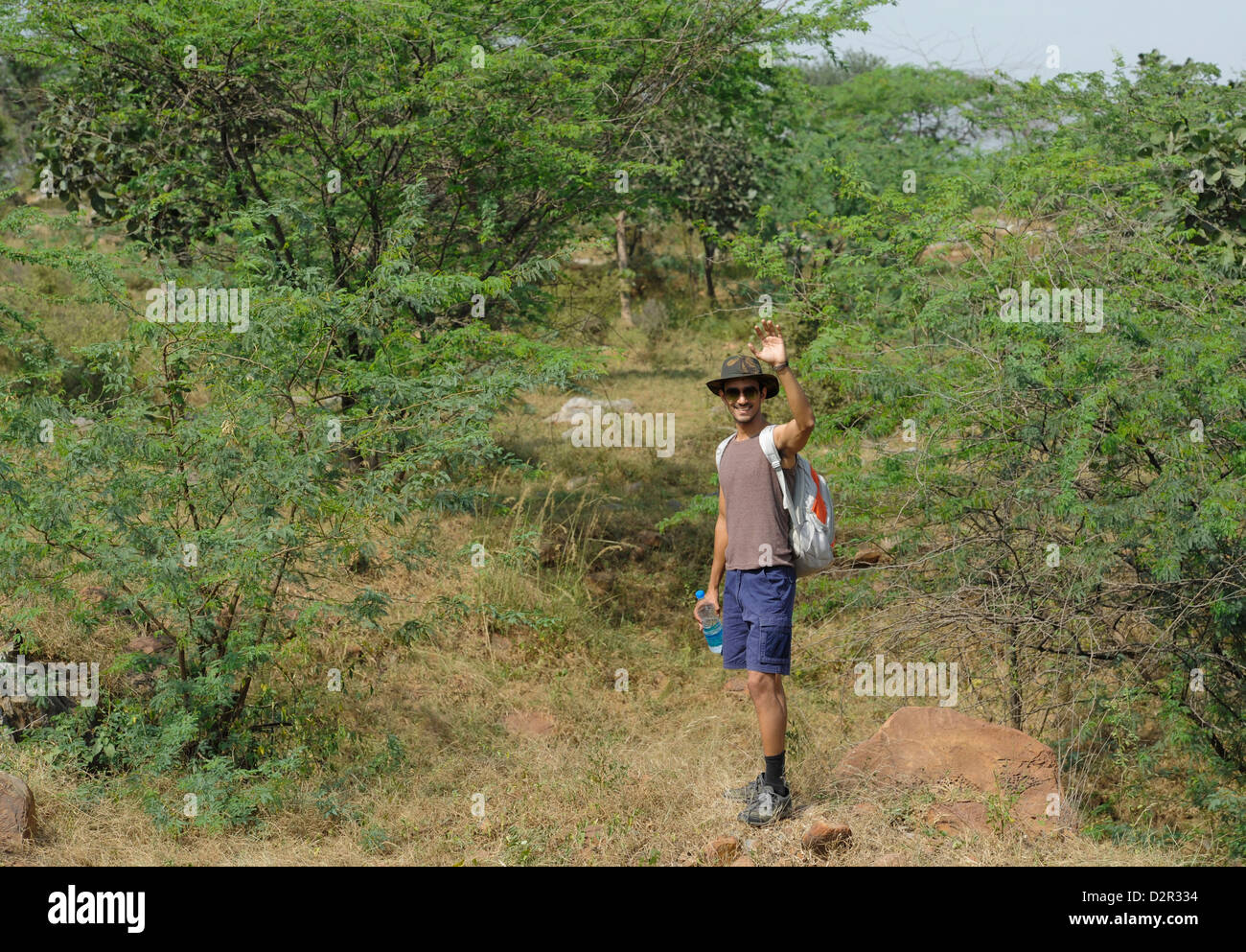 Hiker waving hand in a forest Stock Photo - Alamy