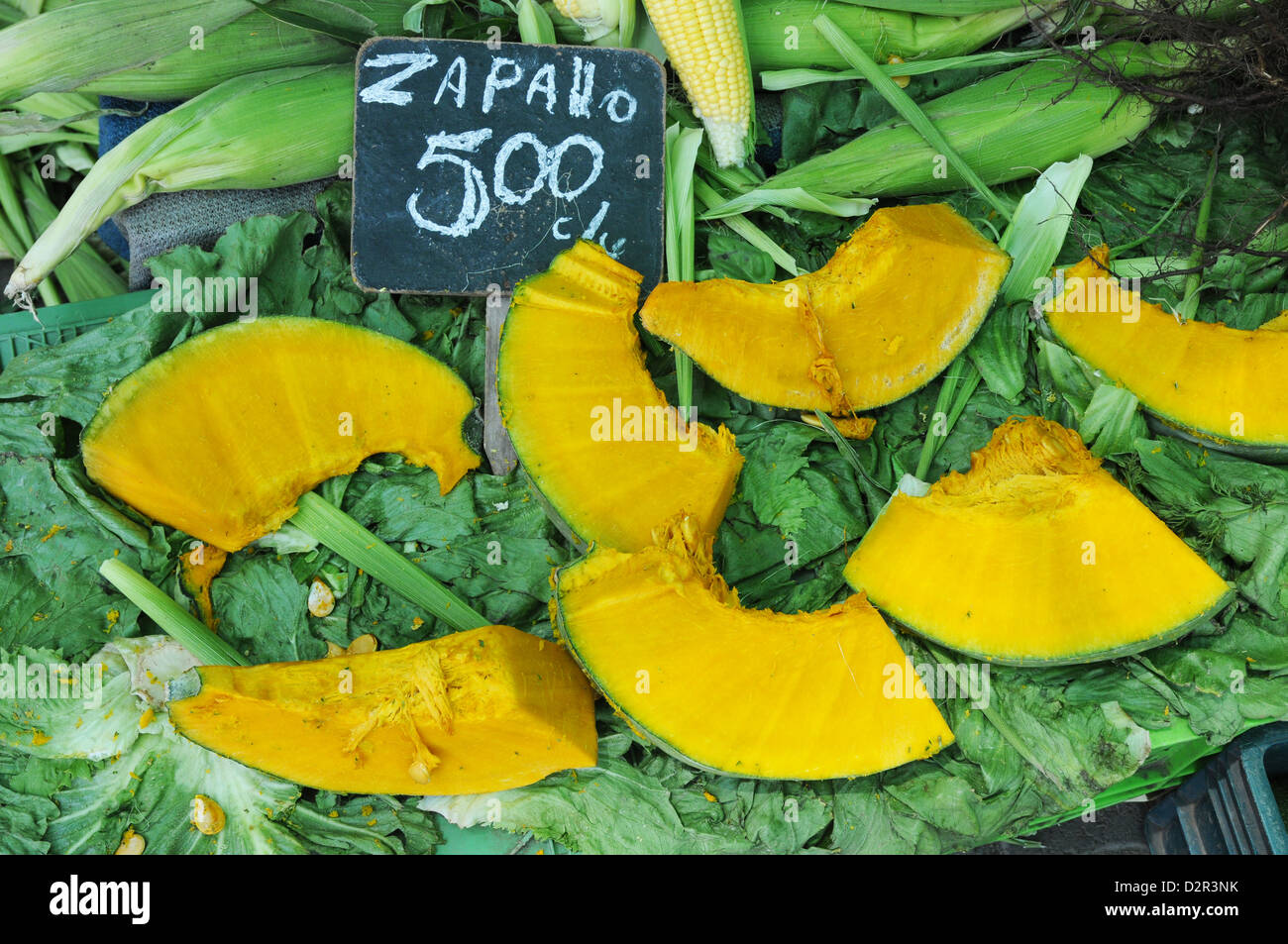 Zapallo Zapallo Yguazu Info. Added A New... Zapallo Yguazu Info.