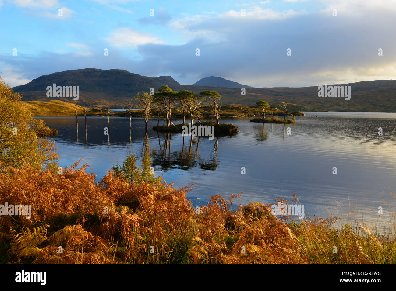 Evening sunlight, Loch Assynt, National Nature Reserve, Sutherland ...
