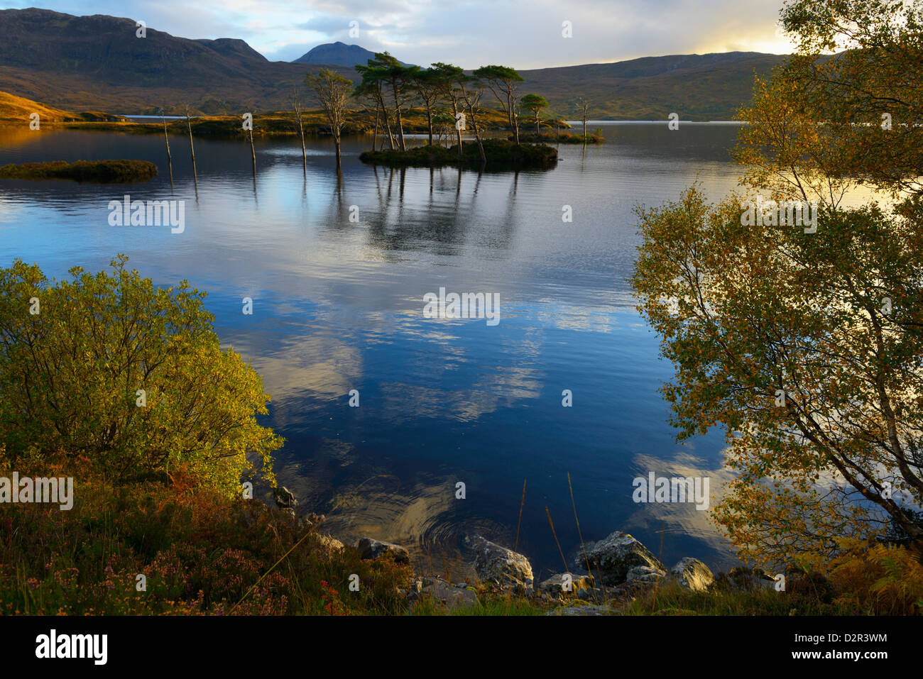 Evening sunlight, Loch Assynt, National Nature Reserve, Sutherland ...