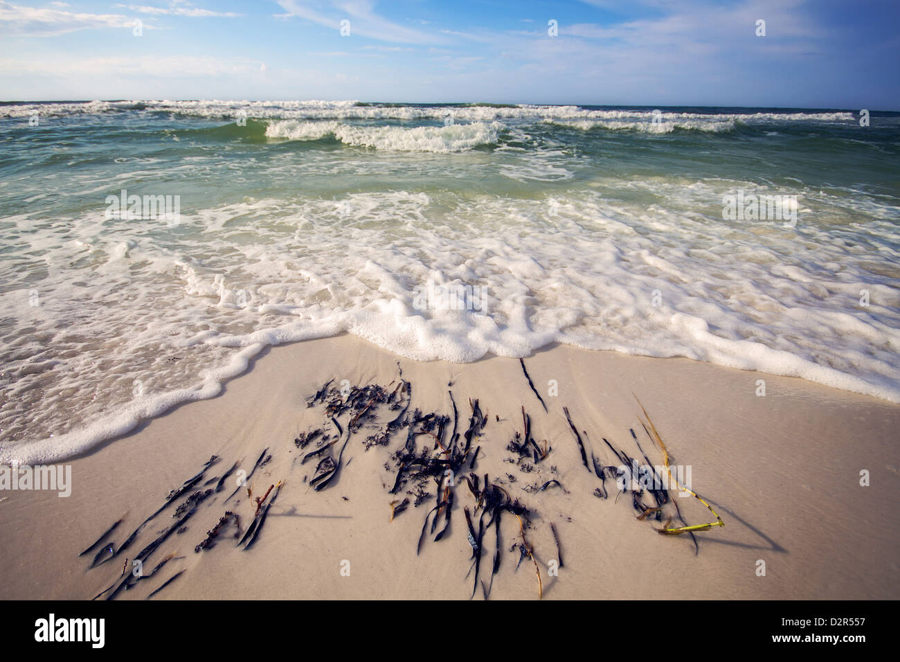 Waves coming in around seaweed on the beach Stock Photo - Alamy