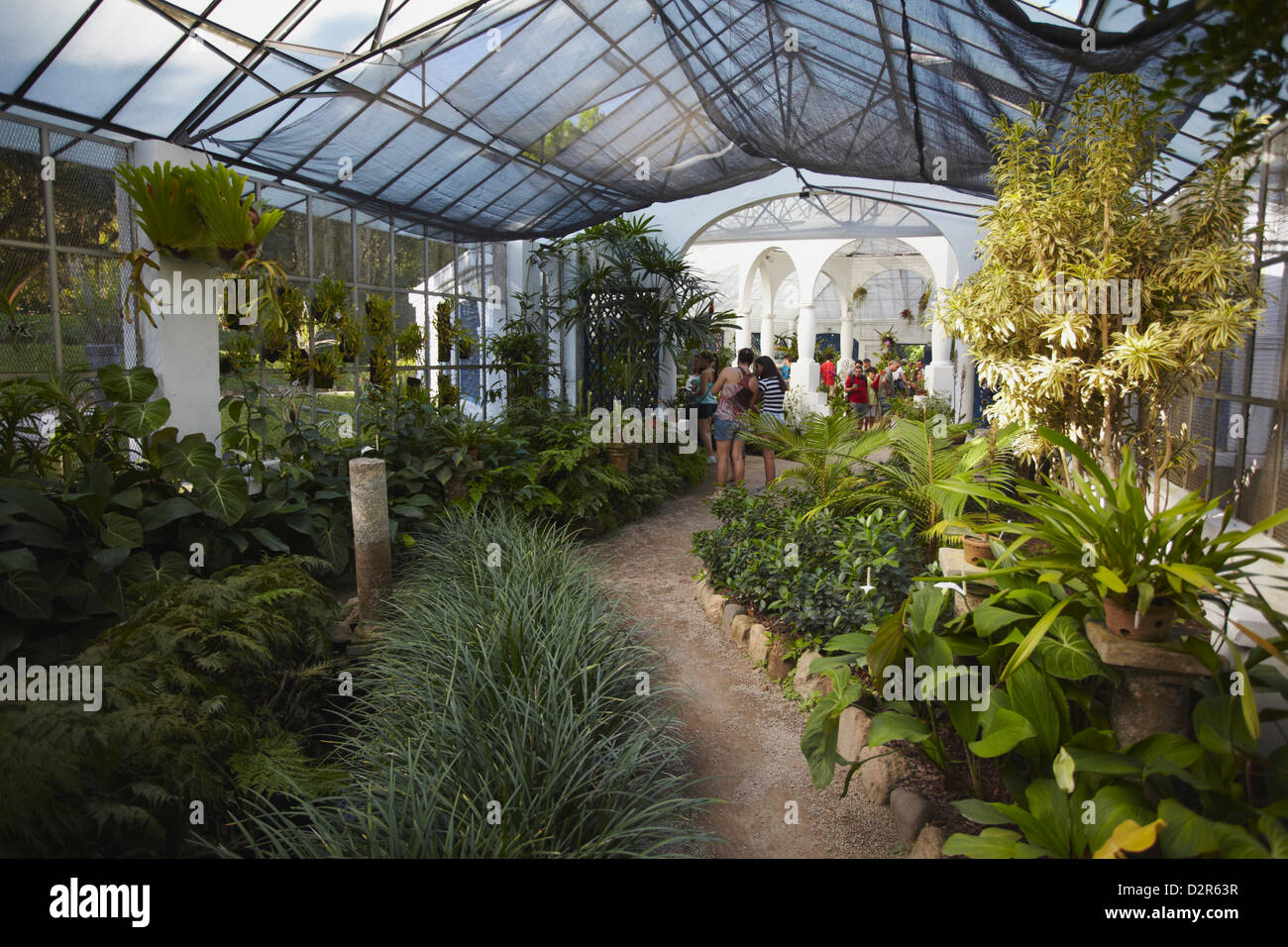 People inside orchid house at Botanical Gardens (Jardim Botanico), Rio ...