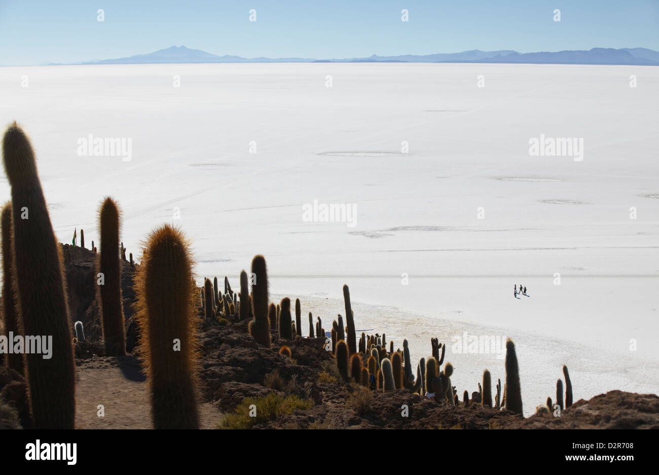 View of people walking on Salar de Uyuni (Salt Flats of Uyuni) from ...