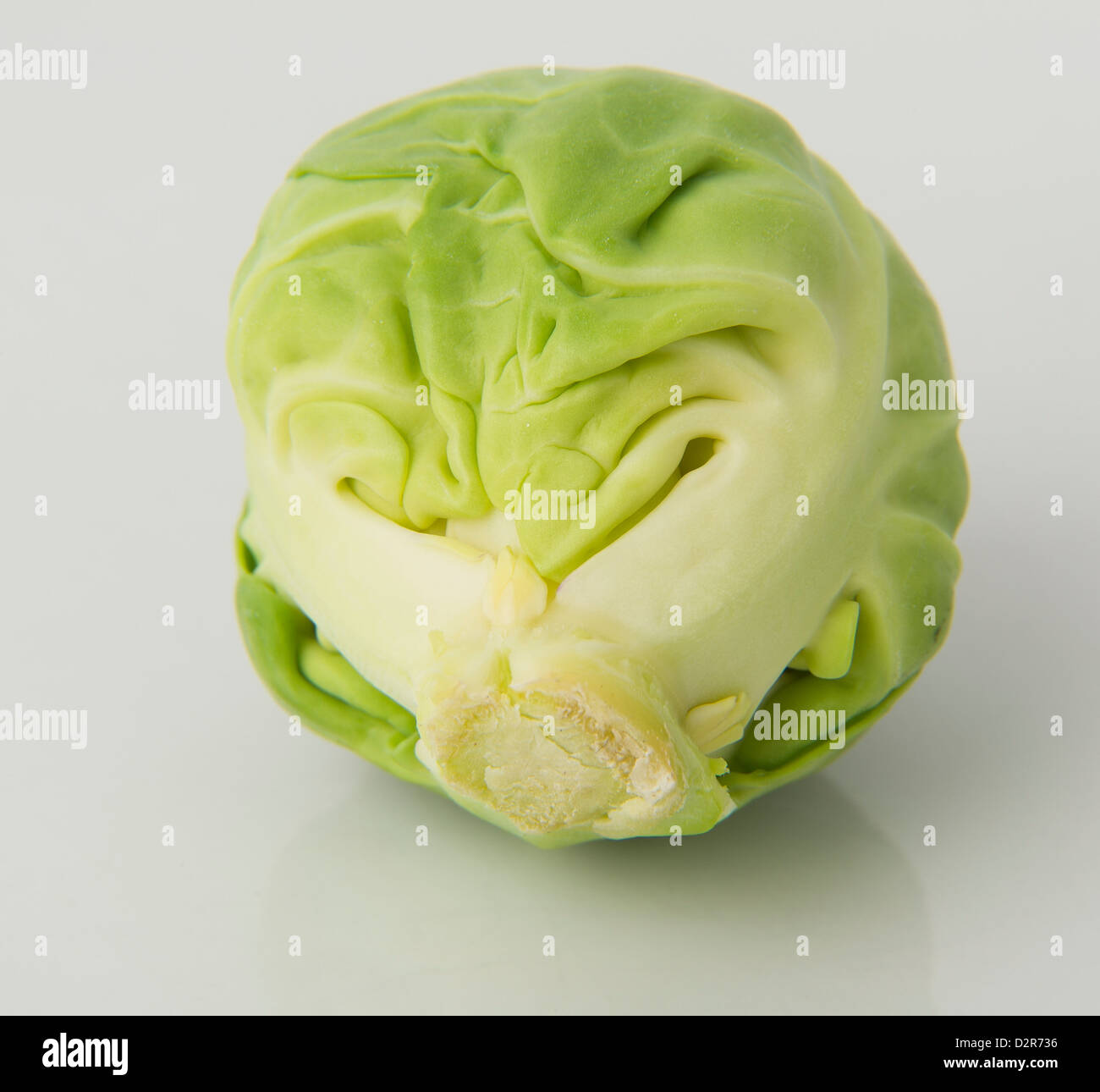 Spouts hi-res stock photography and images - Alamy