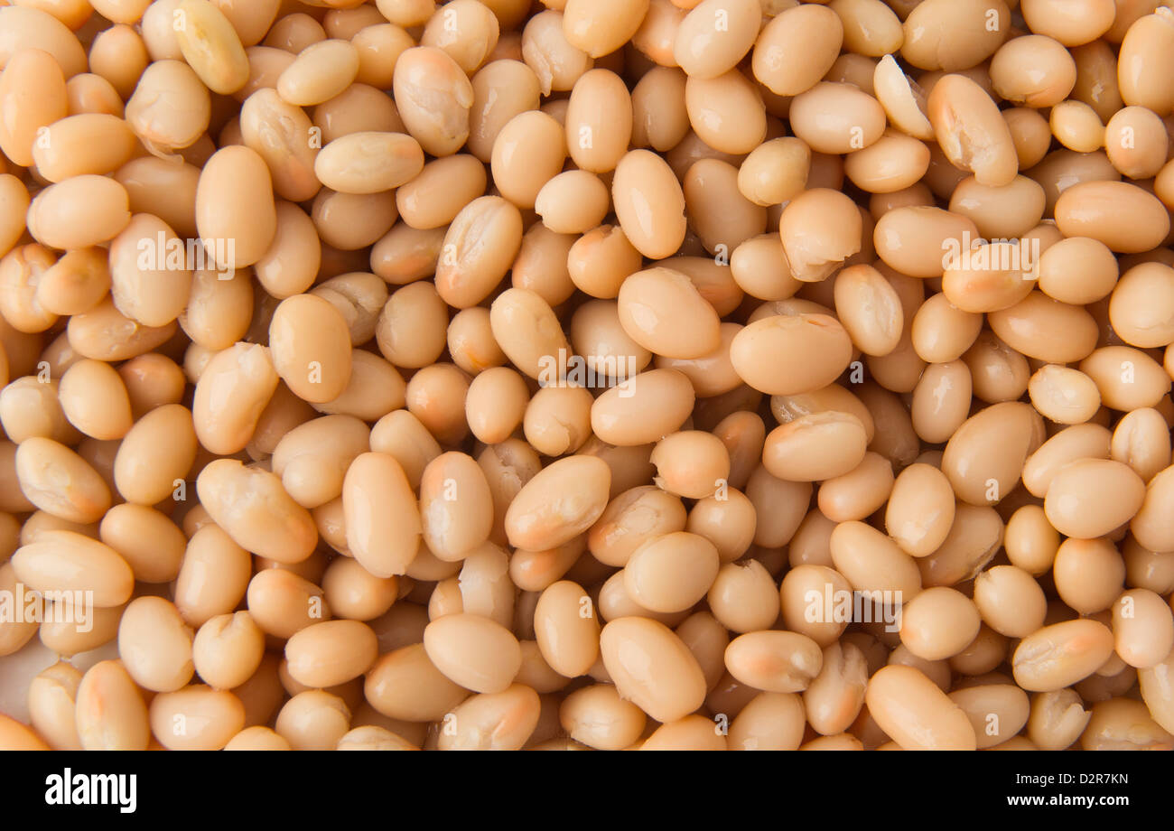 Haricot beans hi-res stock photography and images - Alamy