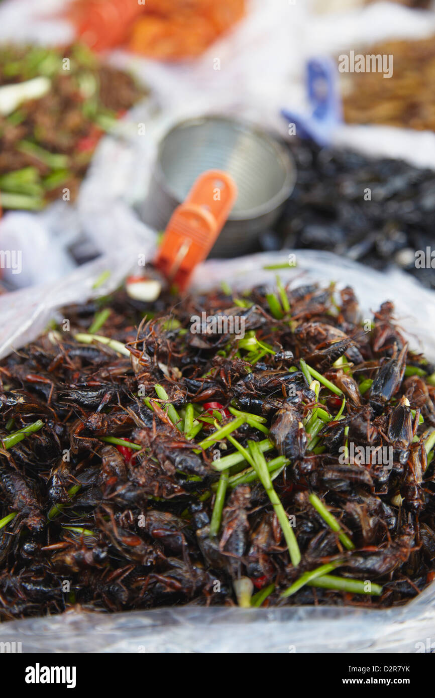 Deep fried insects at market, Phnom Penh, Cambodia, Indochina ...