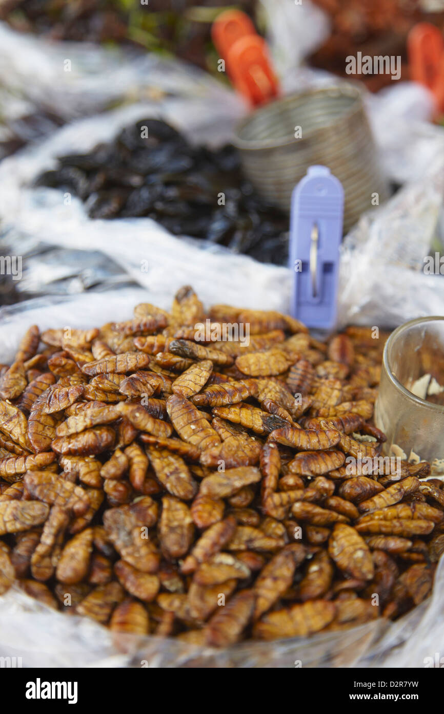 Cambodian fried insects hi-res stock photography and images - Alamy