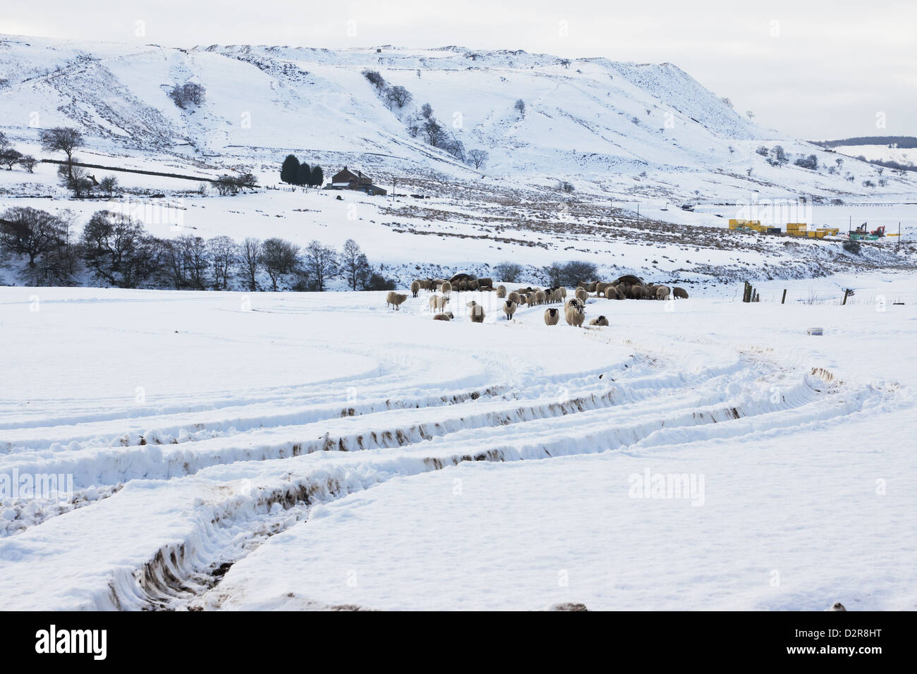 Sheep tracks hi-res stock photography and images - Alamy