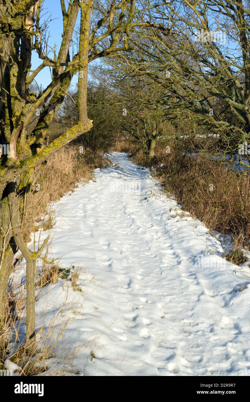Snow covered footpath on the edge of Horsey Mere, Norfolk, UK Stock ...