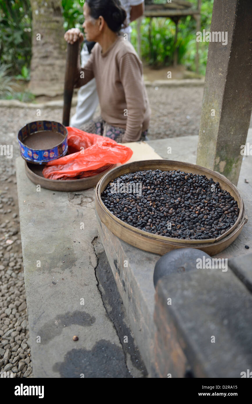 Coffee just roasted in one of the plantation in central Bali; Indonesia ...