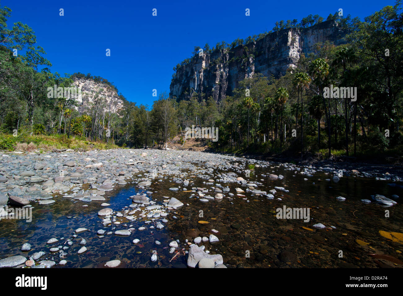 River flowing through the Carnarvon Gorge, Queensland, Australia ...