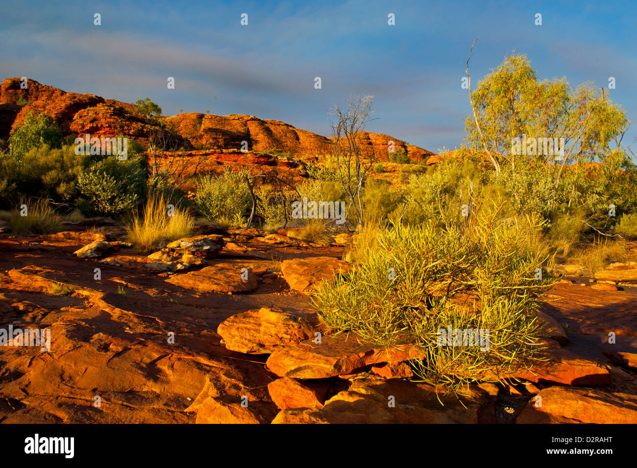 Kings Canyon, Northern Territory, Australia, Pacific Stock Photo - Alamy Kings Canyon, Northern Territory, Australia, Pacific Stock Photo - Alamy