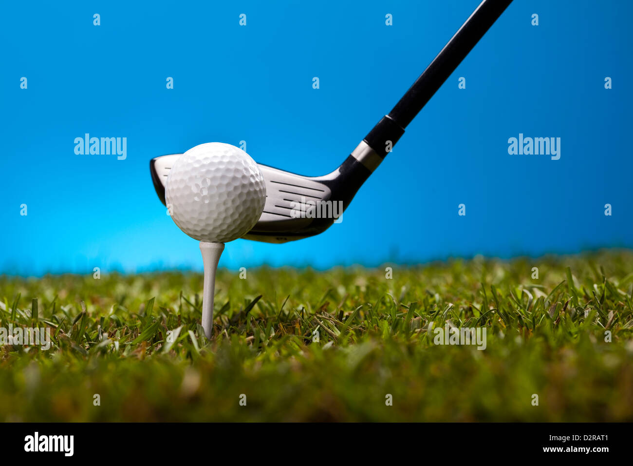 Golf club and ball in grass Stock Photo - Alamy