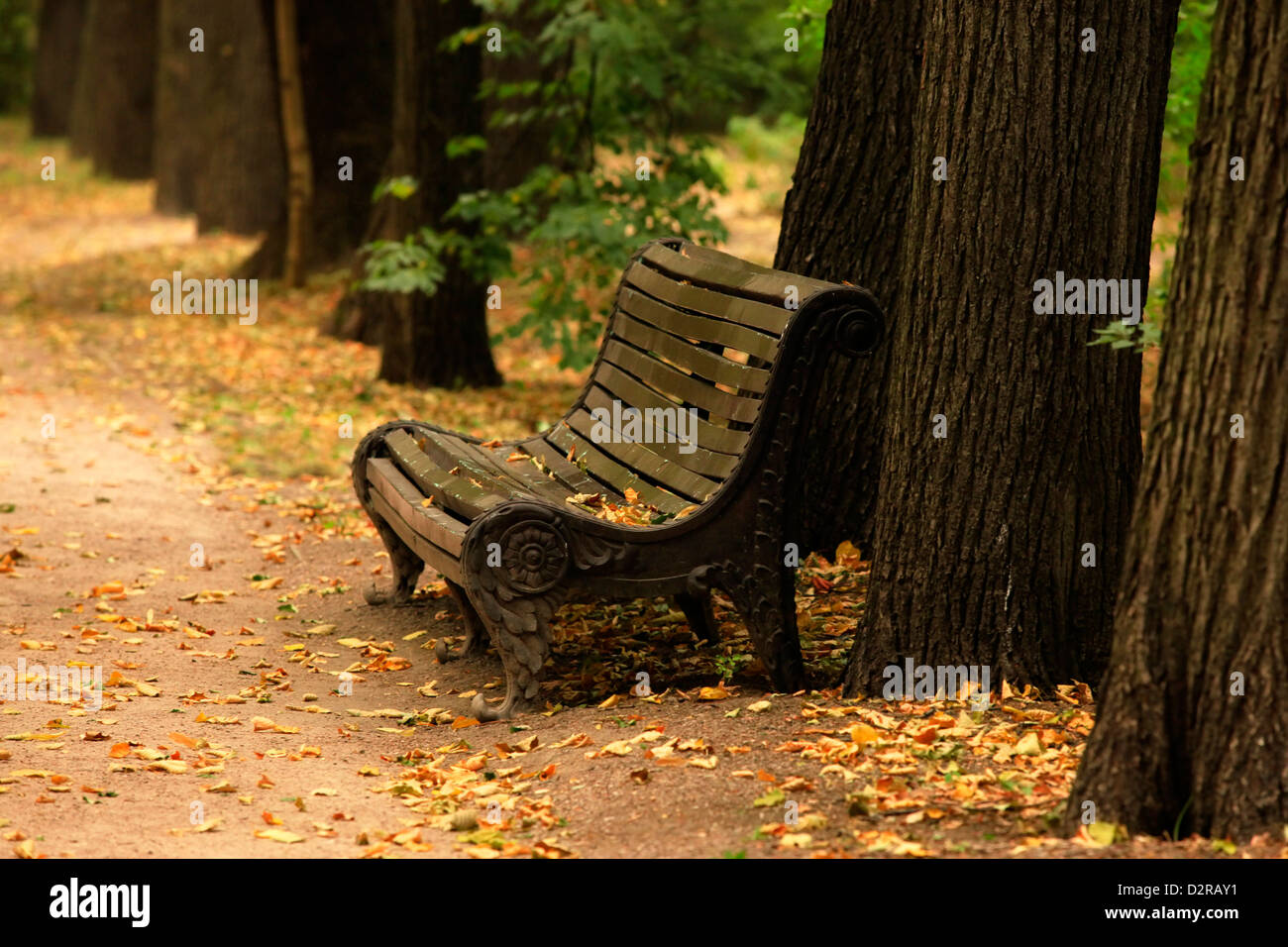 Rotten wooden bench hi-res stock photography and images - Alamy