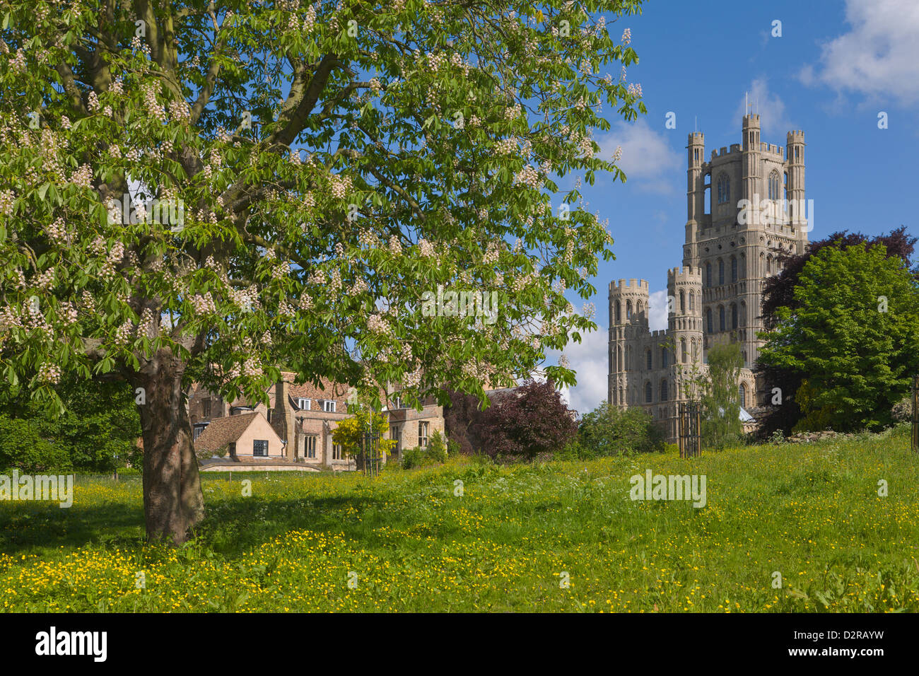 Ely cambridgeshire hi-res stock photography and images - Alamy