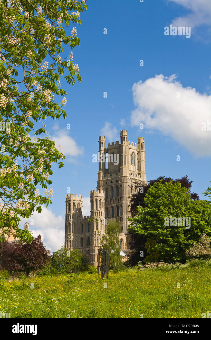 Ely cathedral ely england hi-res stock photography and images - Alamy