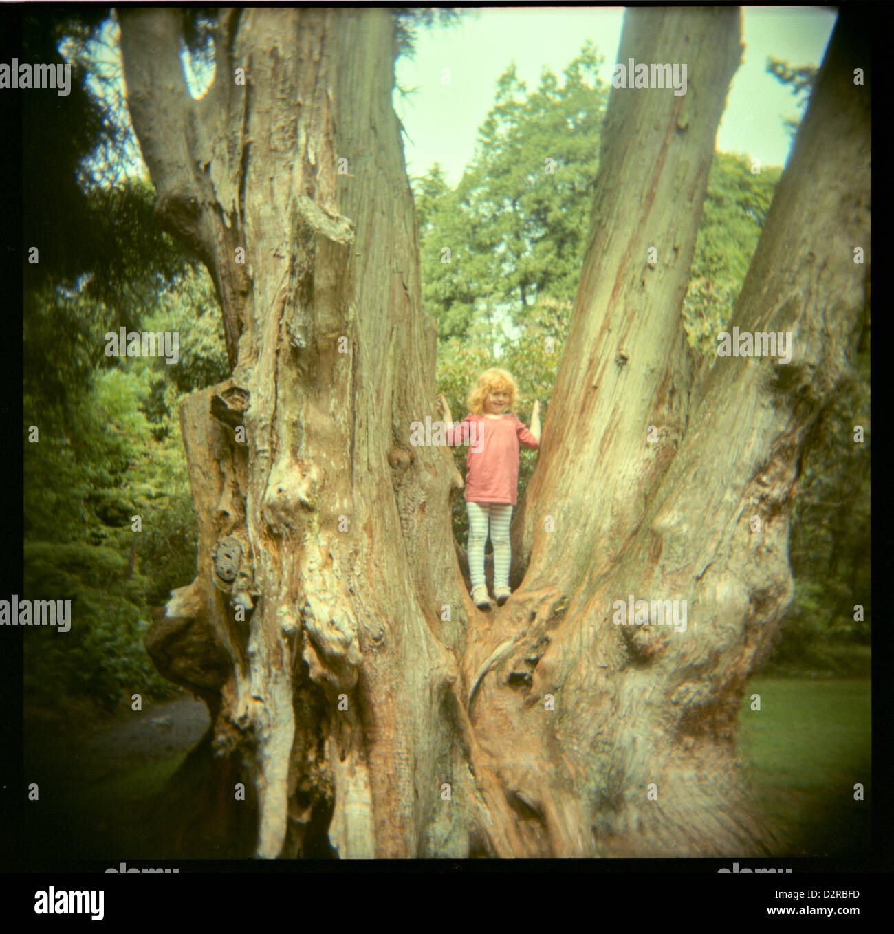 Girl in Tree Stock Photo - Alamy