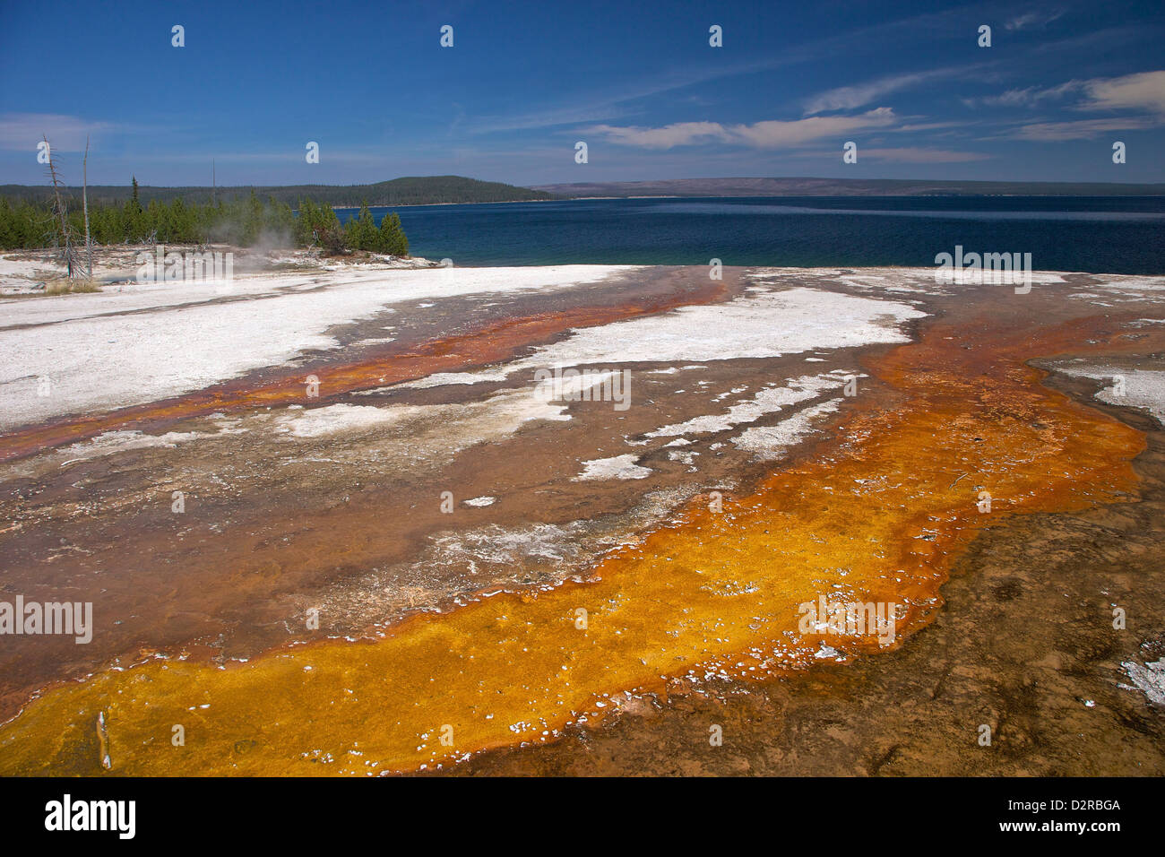 Run off area near Black Pool Spring, West Thumb Geyser Basin ...