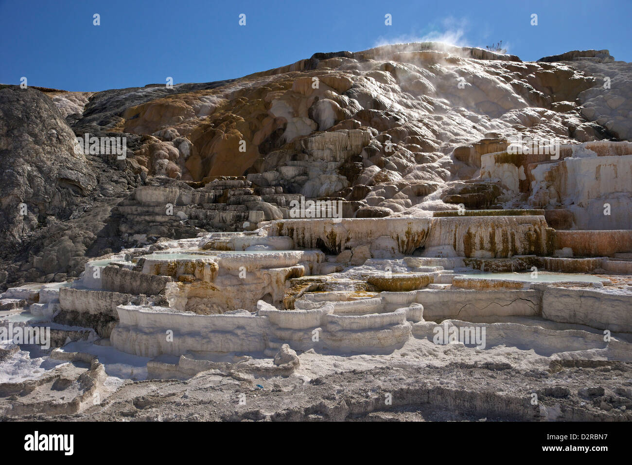Mammoth hot springs yellowstone hi-res stock photography and images - Alamy