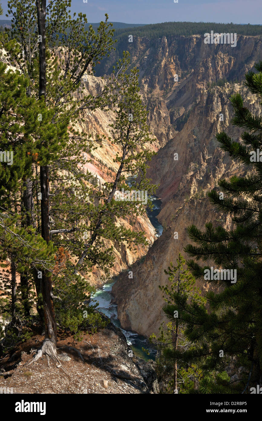 Yellowstone river hi-res stock photography and images - Alamy