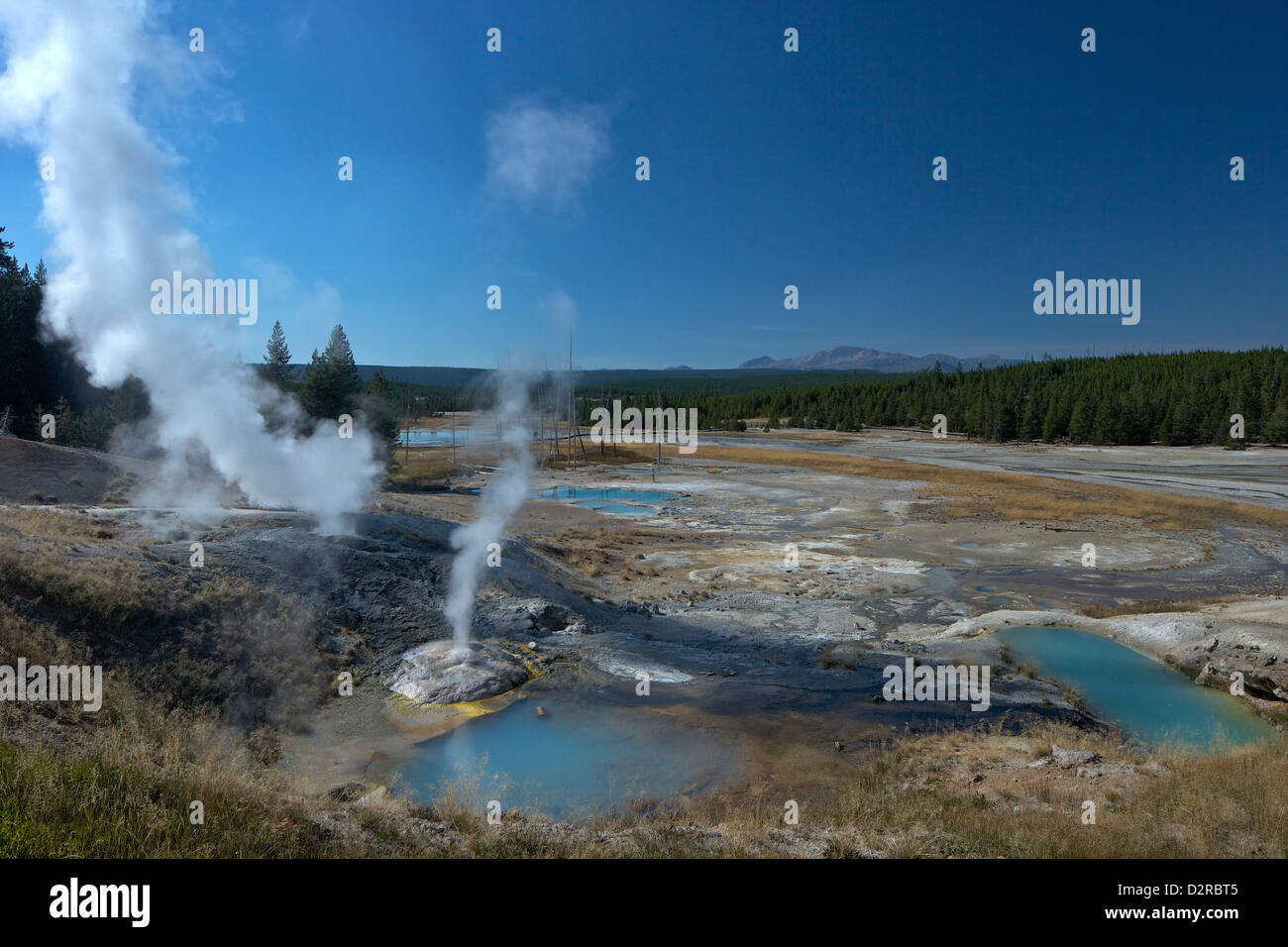 Fumaroles (steam vents) in Porcelain Basin, Norris Geyser Basin ...