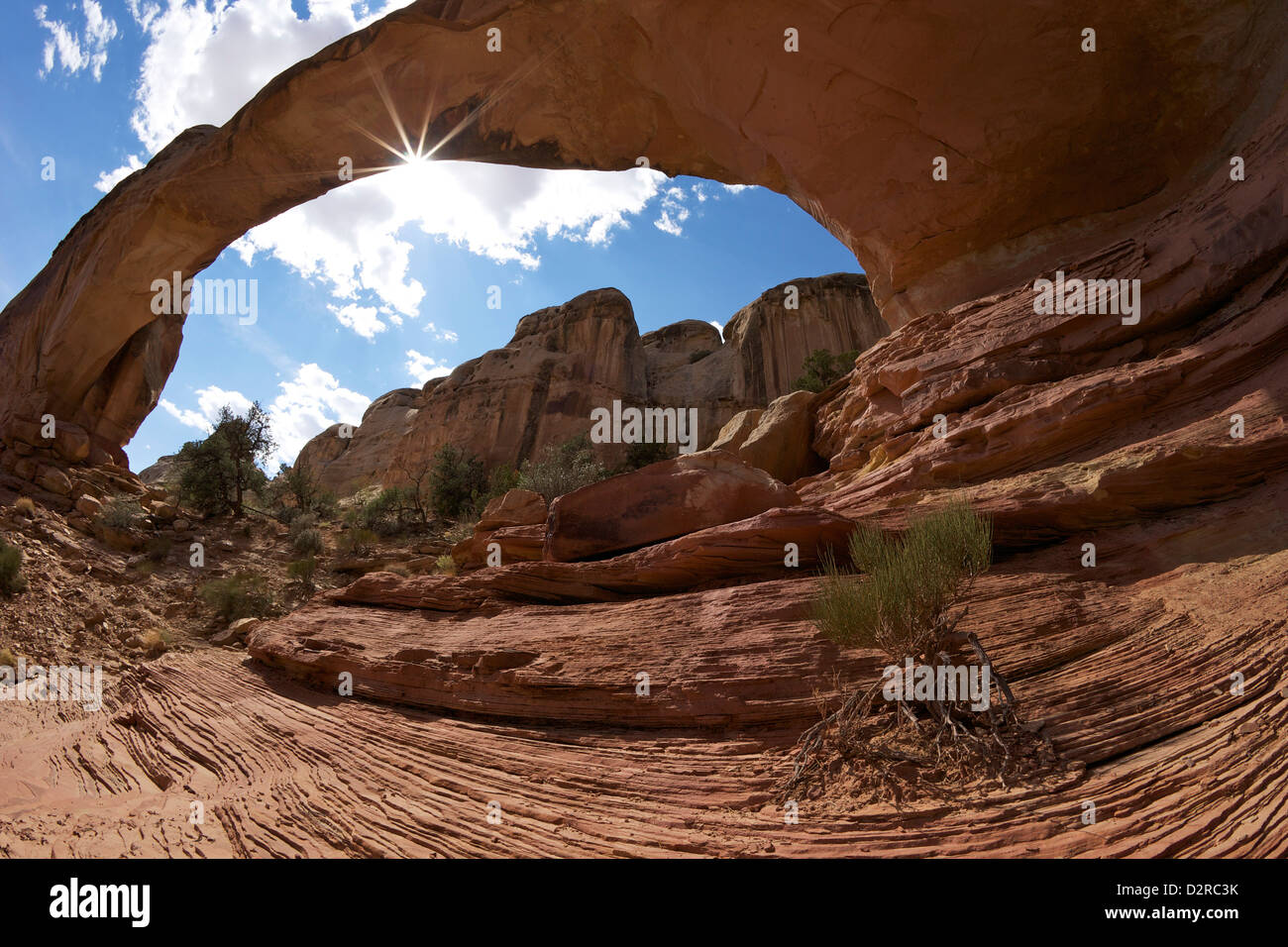 Hickman Bridge, Capitol Reef National Park, Utah, United States of ...