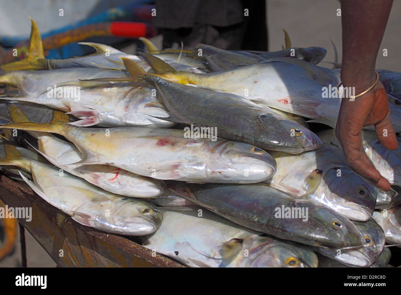 Tangi hi-res stock photography and images - Alamy