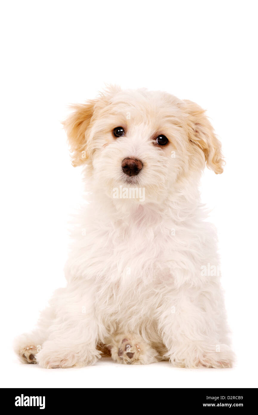 Looking up cross on Cut Out Stock Images & Pictures - Alamy