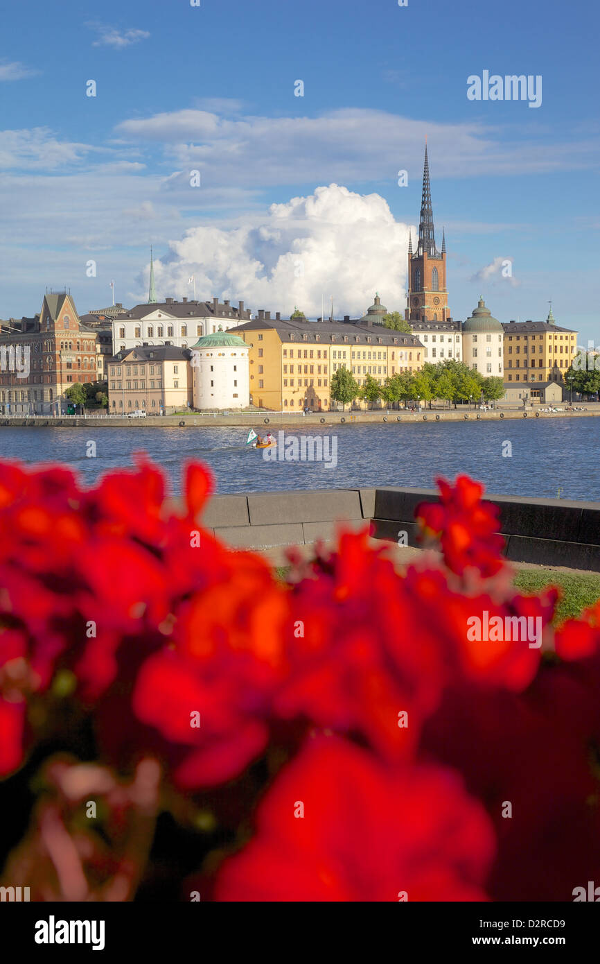 City skyline and flowers, Stockholm, Sweden, Europe Stock Photo - Alamy