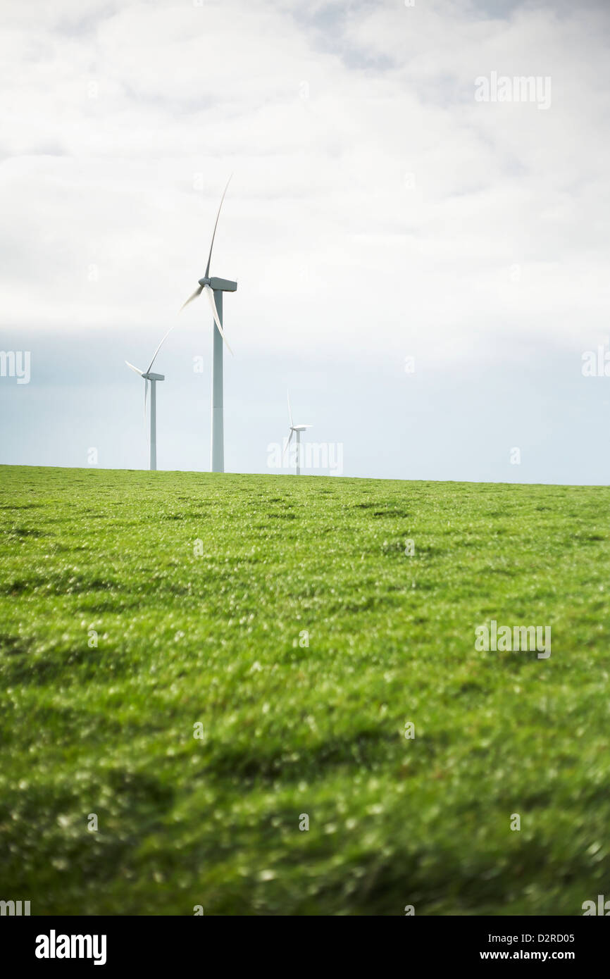 Wind Turbines in wind farm field Stock Photo - Alamy
