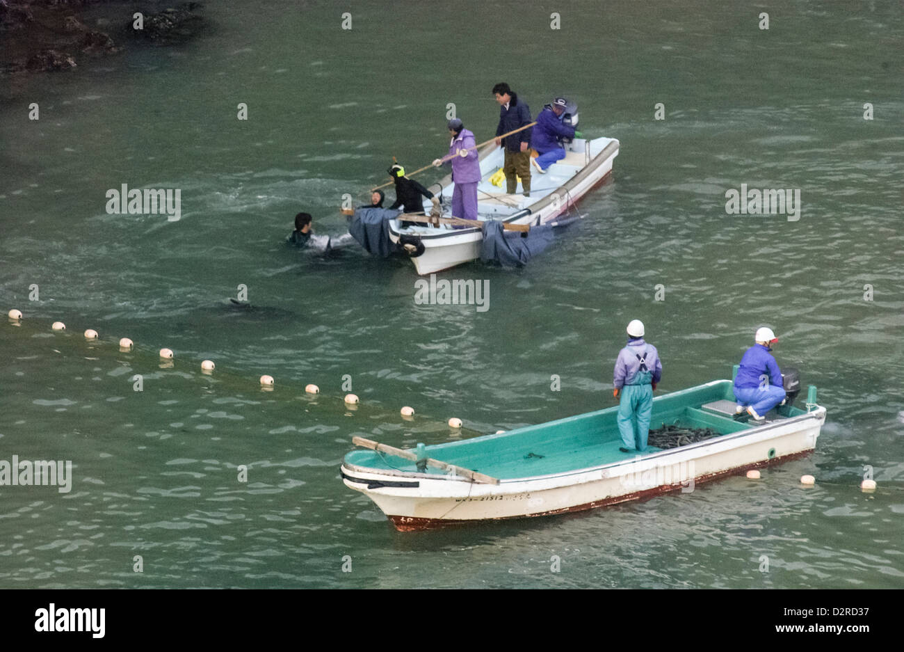 Dolphins beach hunt hi-res stock photography and images - Alamy