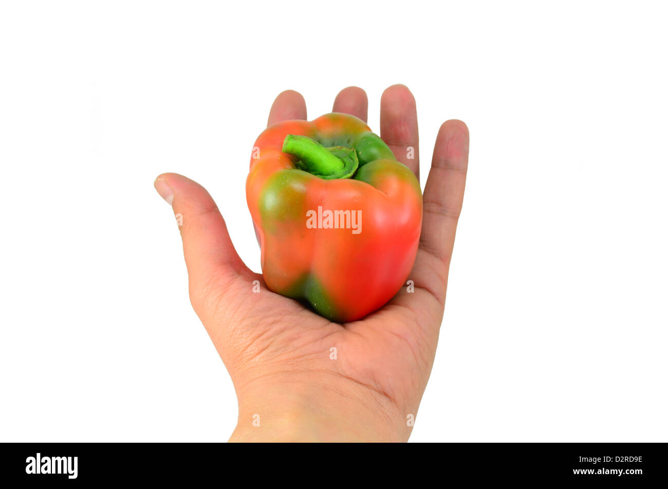 Green pepper held in hand Stock Photo - Alamy