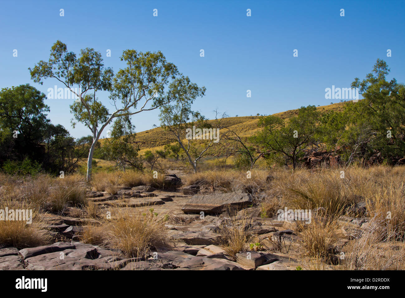 Millstream chichester national park hi-res stock photography and images ...