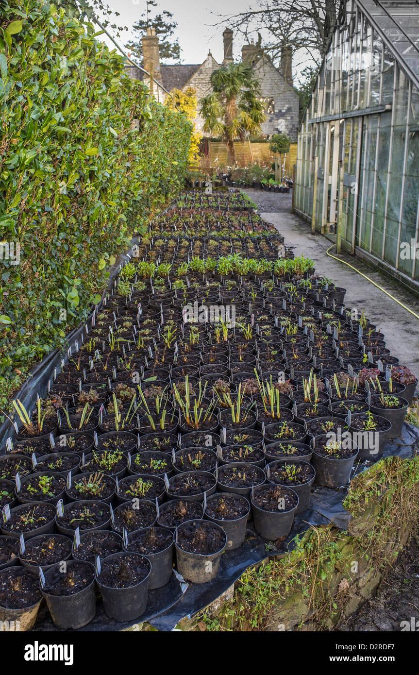 Nursery centre hi-res stock photography and images - Alamy