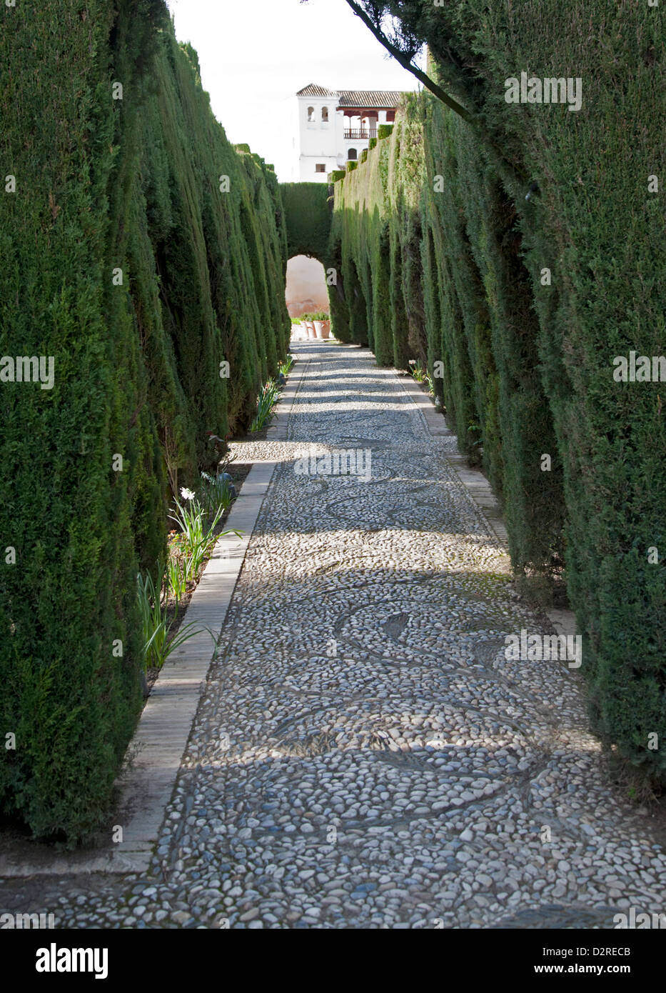 Decorative cobble stone walk way and clipped hedges in the gardens of ...