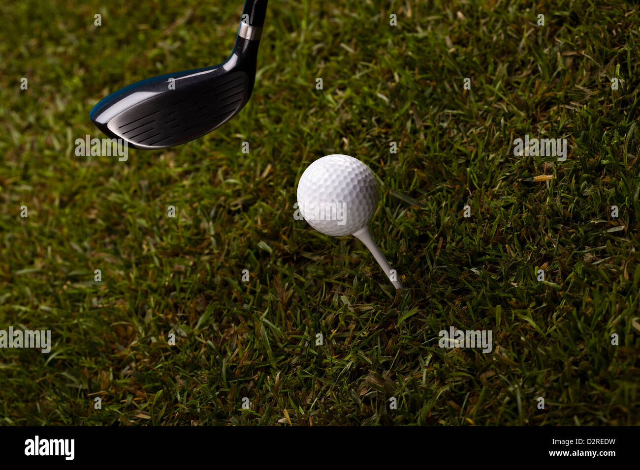 Golf club and ball in grass Stock Photo - Alamy
