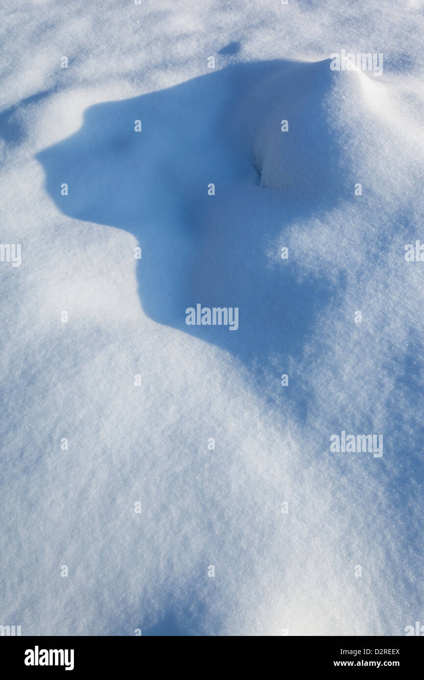 Snowy detail hi-res stock photography and images - Alamy