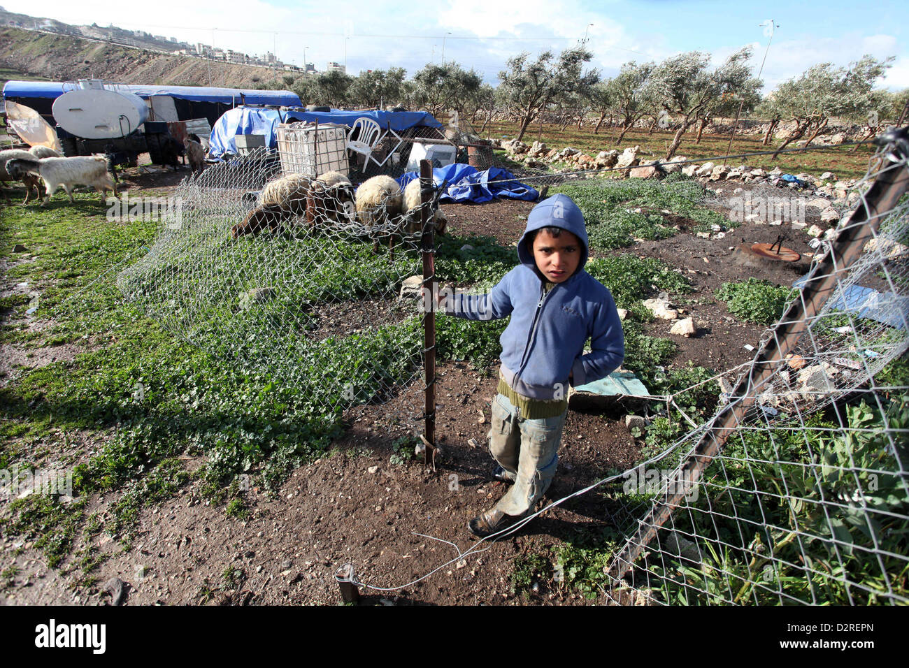 Jan. 31, 2013 - Ramallah, West Bank, Palestinian Territory - A ...