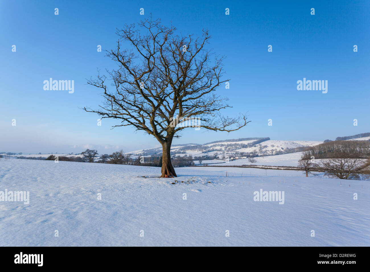 Snowy field at Crowcombe looking to Thorncombe Hill in the Quantocks ...