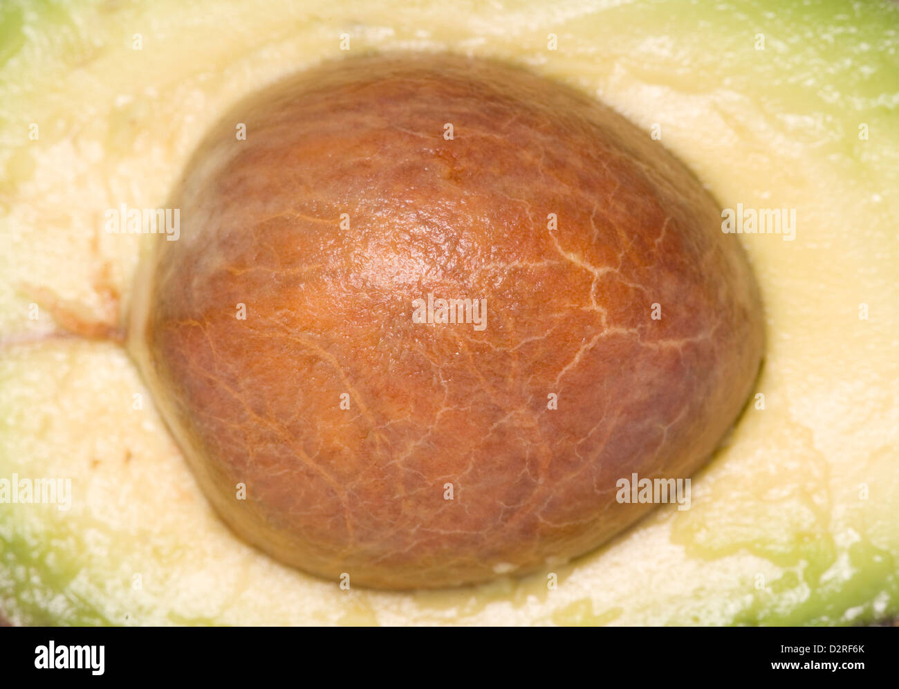 Avocado pip Abstract background texture Stock Photo - Alamy